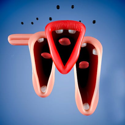 Choir 🕹️ Play Now for Free | RocketGames